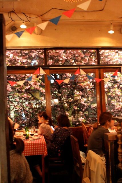 目黒川の桜2024の花見カフェ7選！テラス席や限定スイーツ・アフターヌーンティーも♪